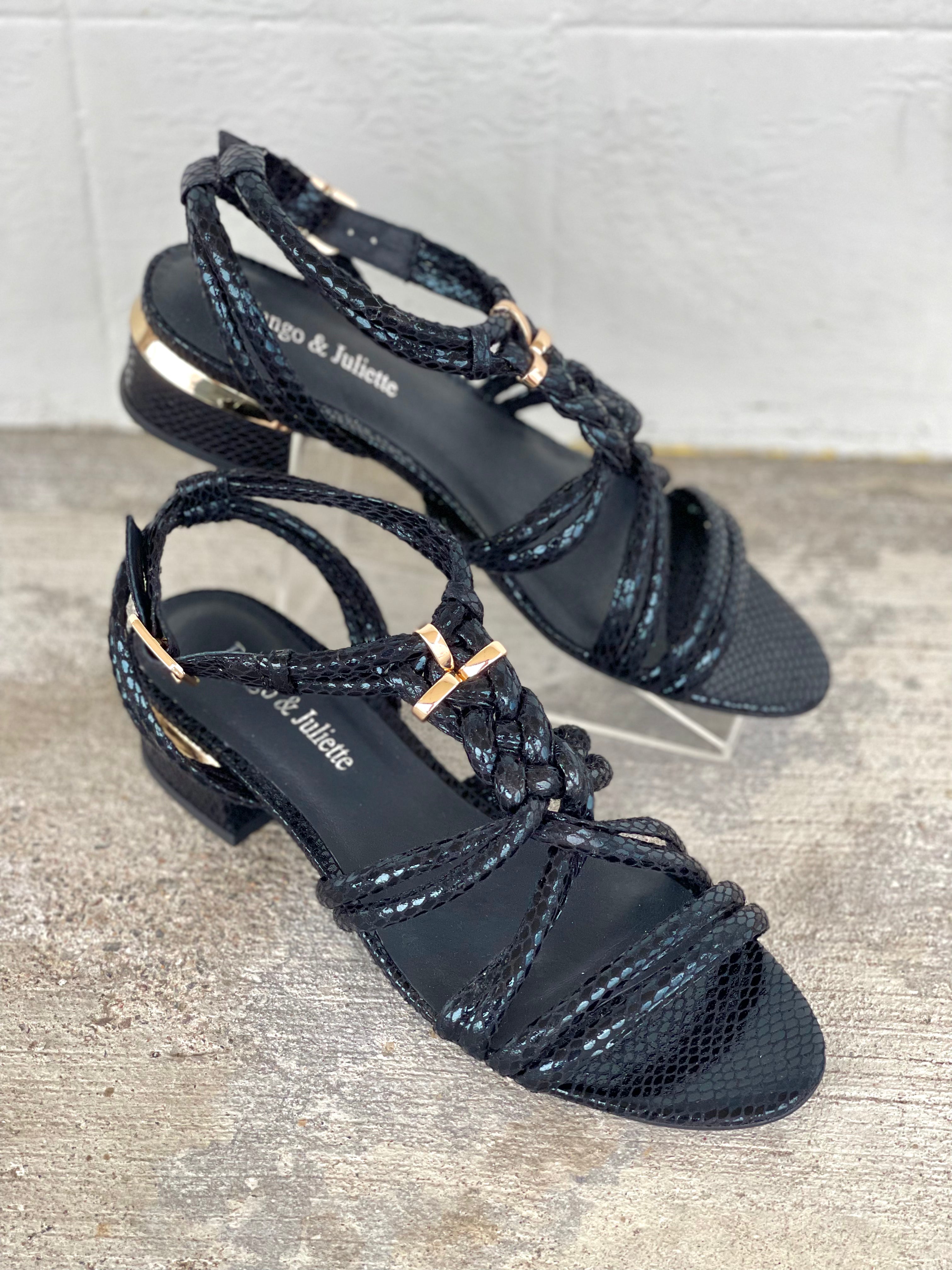 Django & Juliette Tainar Lizard Black – Red Hill Collective